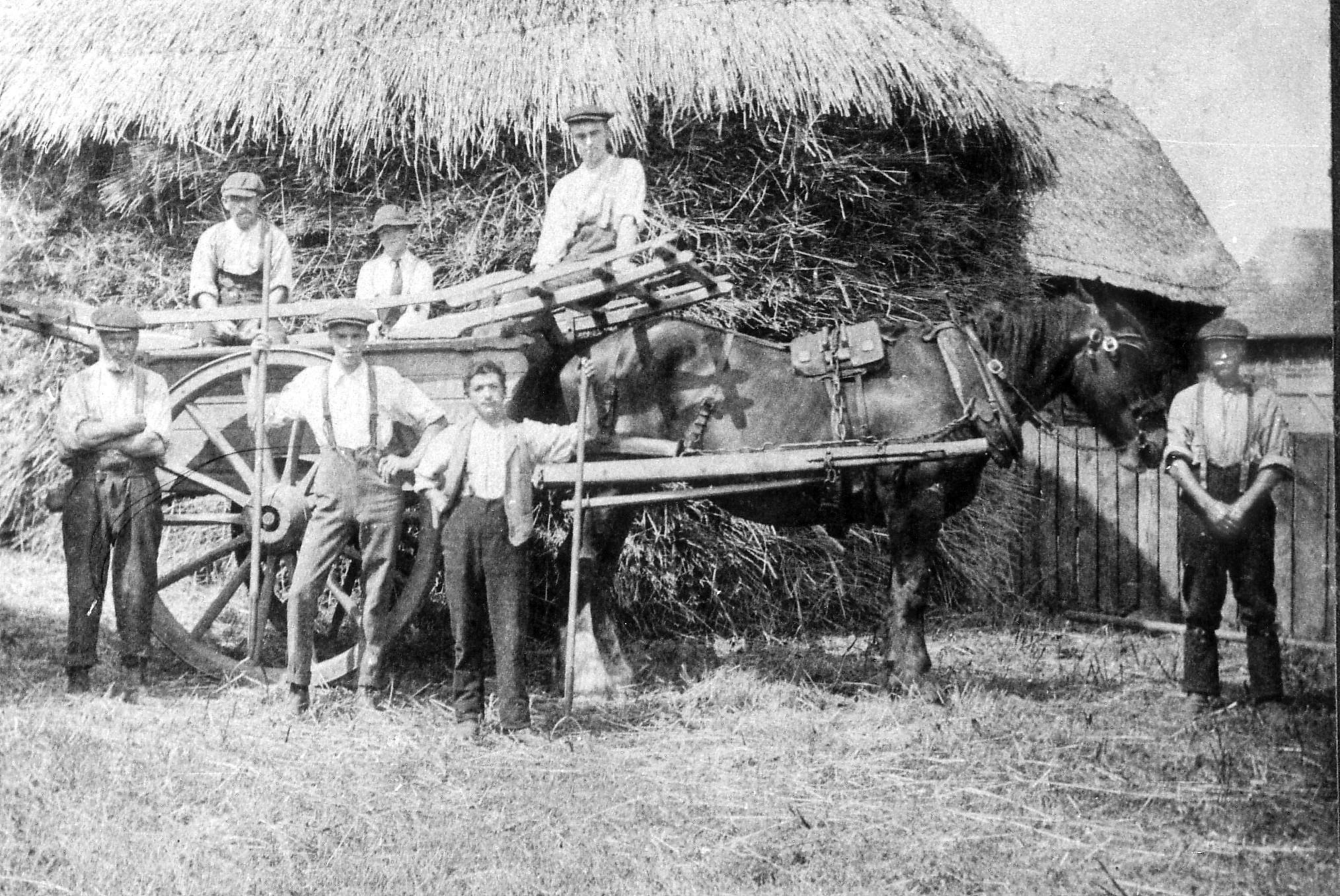 Haymaking and Milling